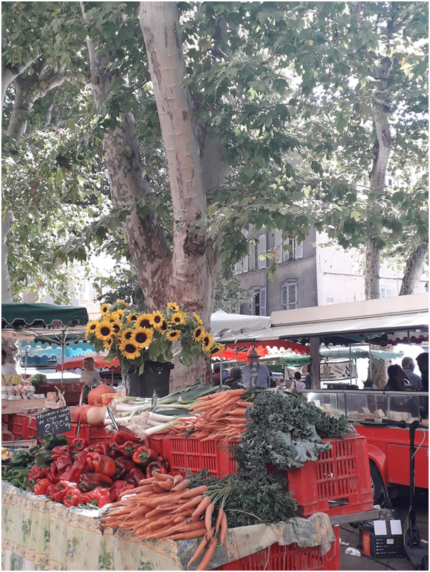 Deux expositions à Aix-en-Provence : profitez donc du mois de septembre ...